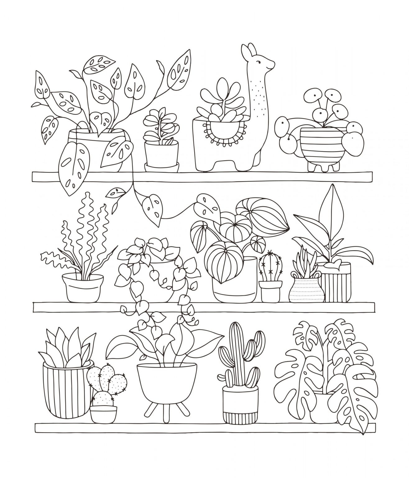 Floral House Plant Colouring Sheet - Colouring Crafts