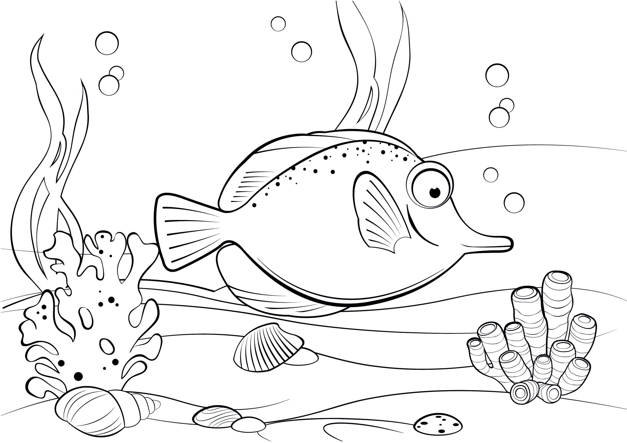 Tropical Fish Colouring Page - Colouring Crafts