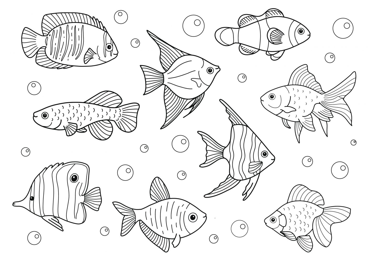Different Types Of Fish Colouring Page - Colouring Crafts